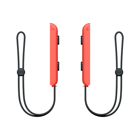 Joy-con strap : r/NintendoSwitch