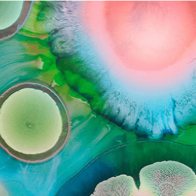 Precision Biotics UK | Clinically Tested Microbiome Supplements