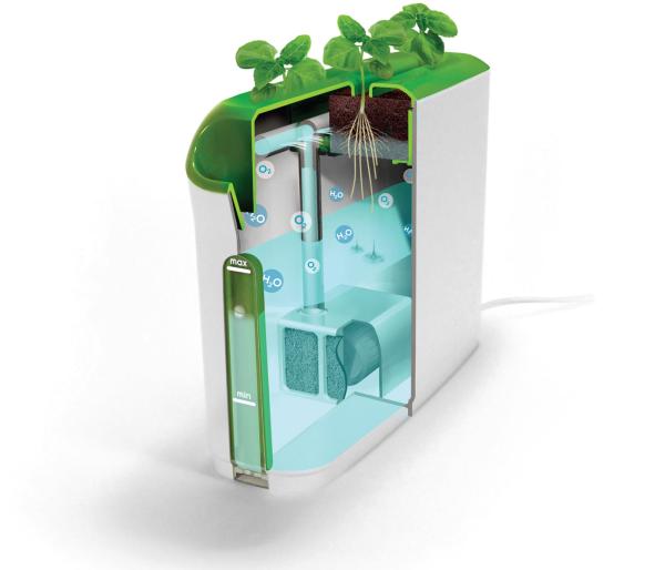 Power Plant Growing Machine | IWOOT