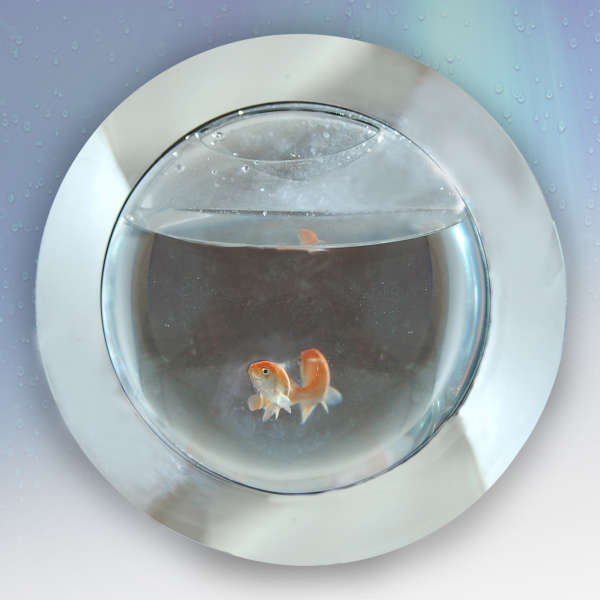 Space Fish Tank | IWOOT