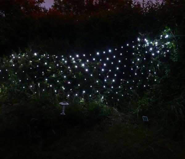 Fairy Light Net | IWOOT