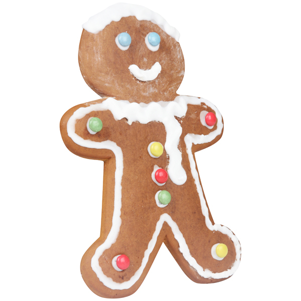 DIY Gingerbread Man Kit | IWOOT