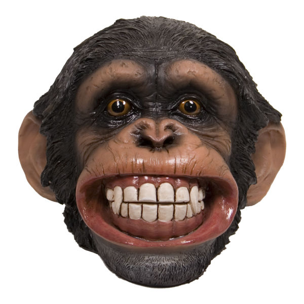 Smiling Chimp Bank | IWOOT