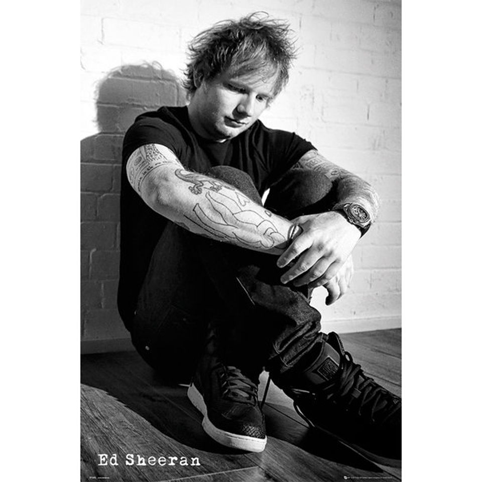 Ed Sheeran Sit - Maxi Poster - 61 x 91.5cm Merchandise | Zavvi