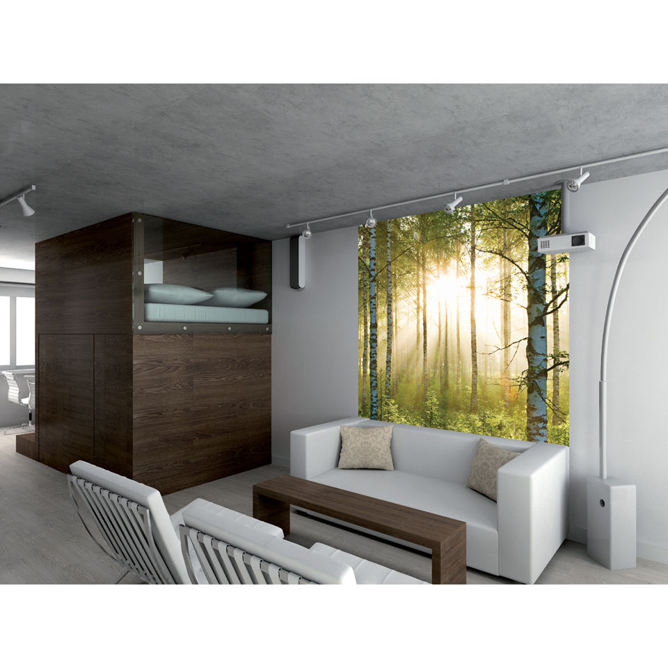 Forest Scene Deco Wall Mural | IWOOT