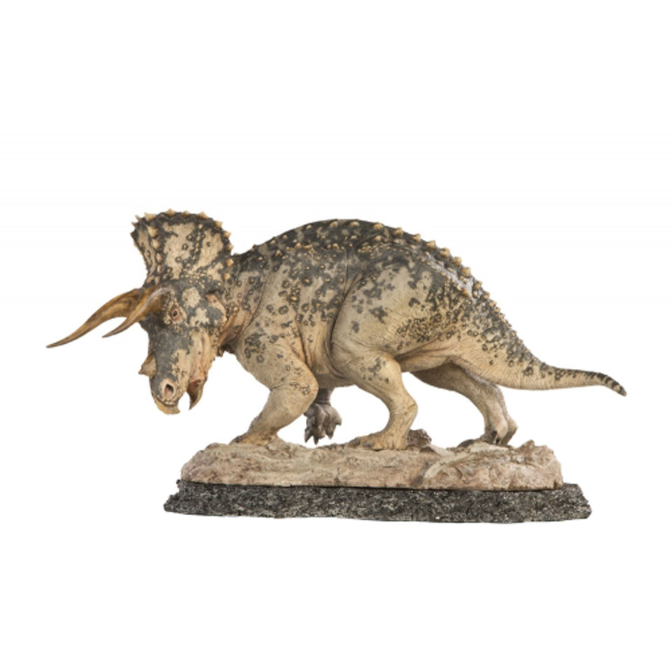 Sideshow Collectibles Dinosauria Triceratops Statue Merchandise | Zavvi ...