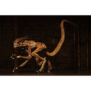 NECA Alien 3 - Accessory Pack - Creature Pack Merchandise - Zavvi UK