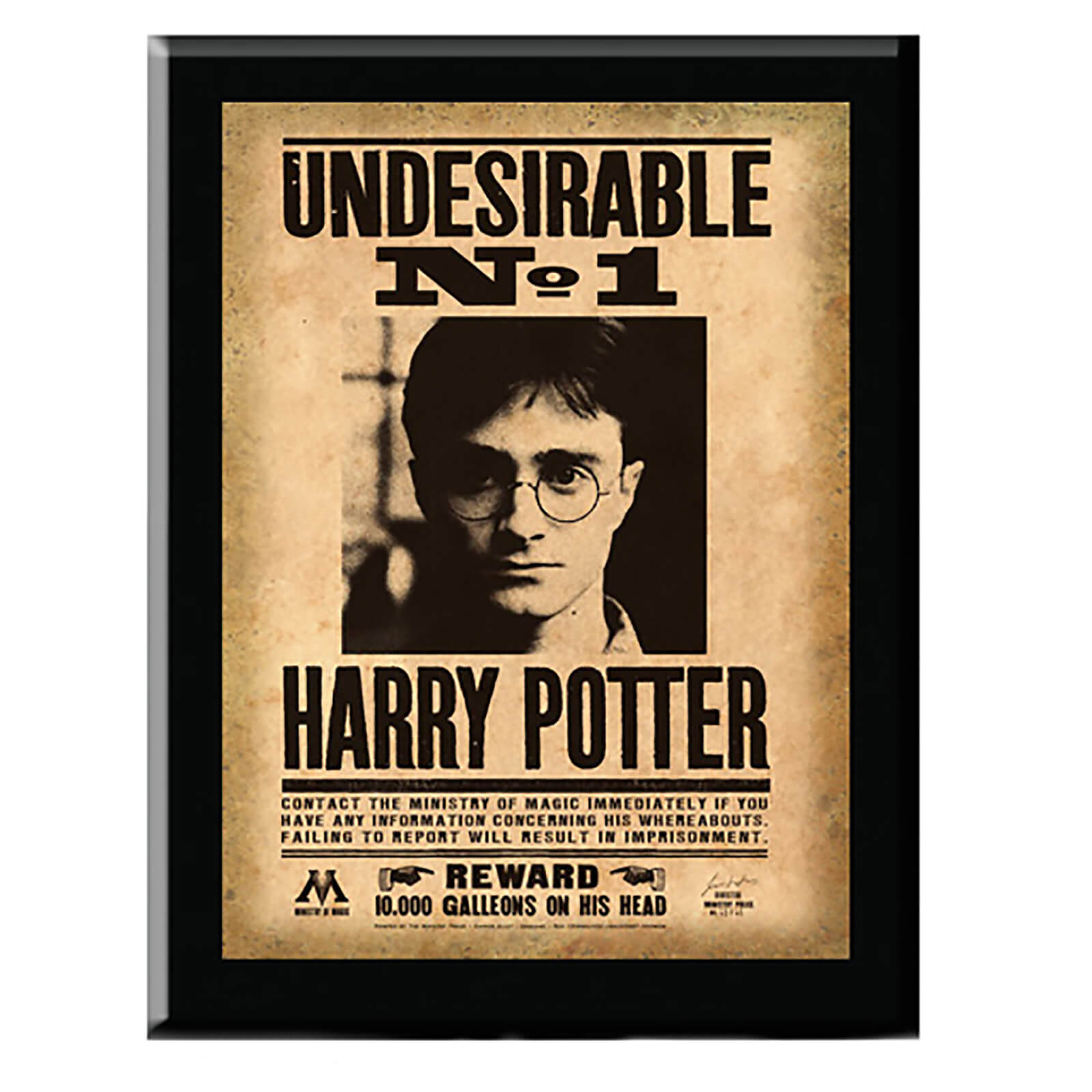 Harry Potter Harry Potter Undesirable No. 1 Plaque Merchandise | Zavvi