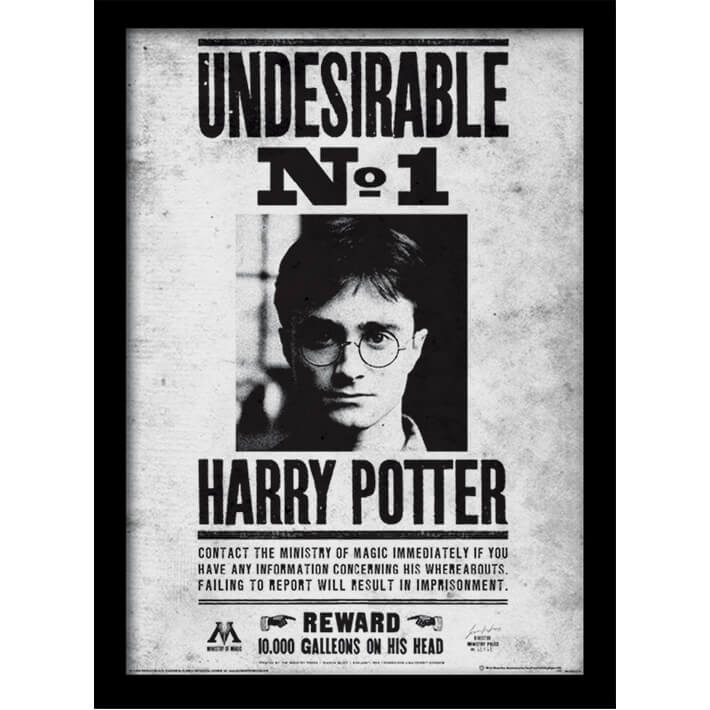 Harry Potter Undesirable No.1 Framed 30 x 40cm Print Merchandise | Zavvi