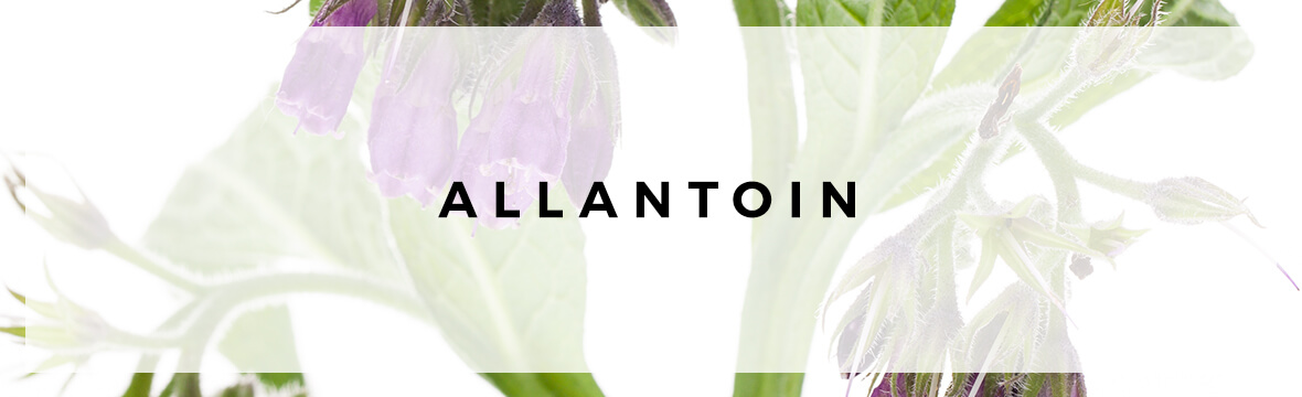 Allantoin for hair | Grow Gorgeous | Free Delivery